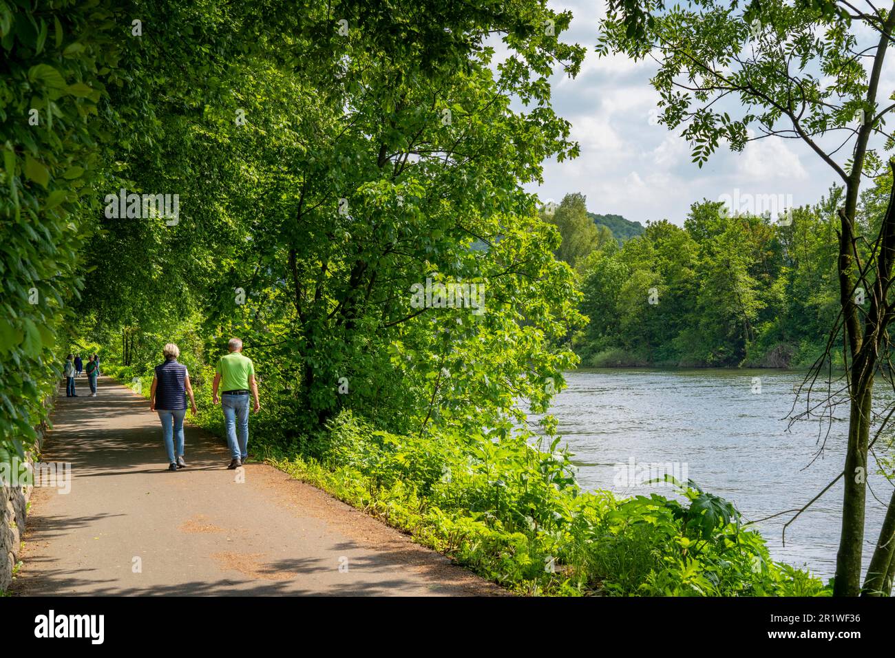Leinpfad on the Ruhr near Essen-Kettwig, hiking trail, cycle path along ...