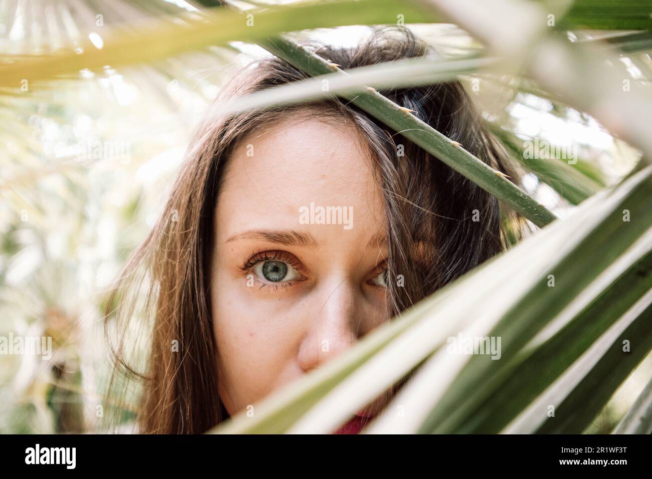 Portrait of young brunette woman among palm leaves. A girl hiding face ...