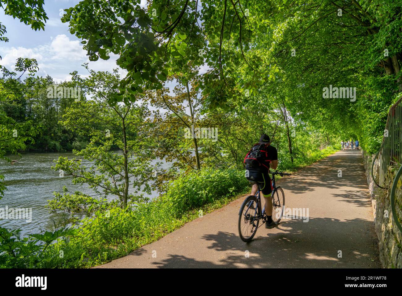 Leinpfad on the Ruhr near Essen-Kettwig, hiking trail, cycle path along ...