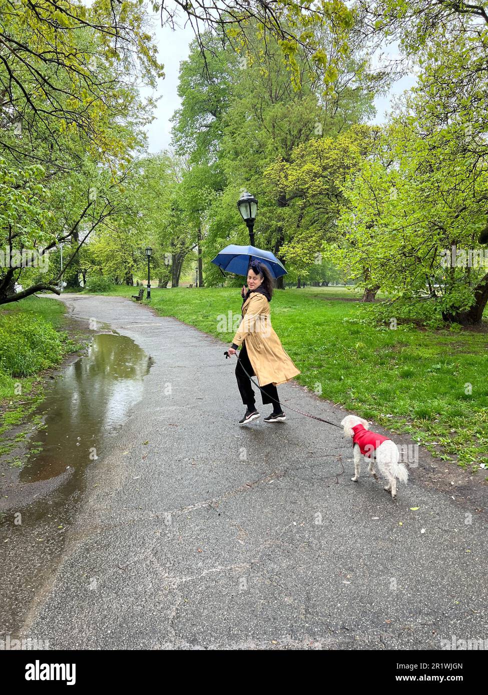 Spring Rain