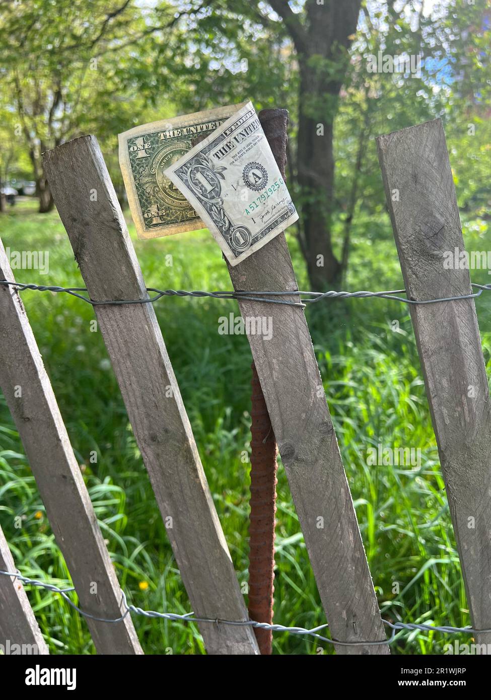 Dollar bill stuck in a fence along the Parade Grounds in Brooklyn, New ...