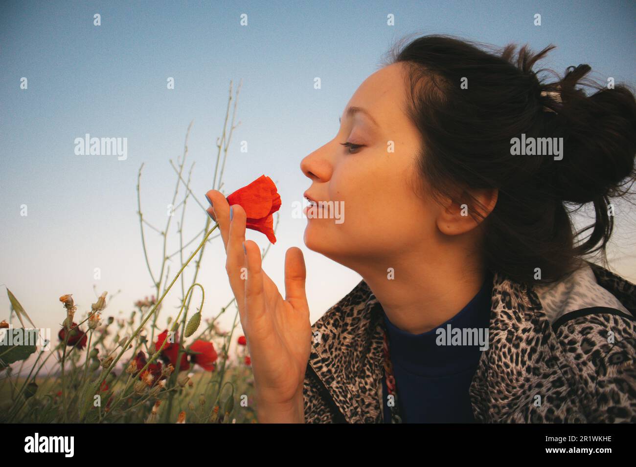A cute brunette girl is sniffing a red fragrant flower. High quality ...