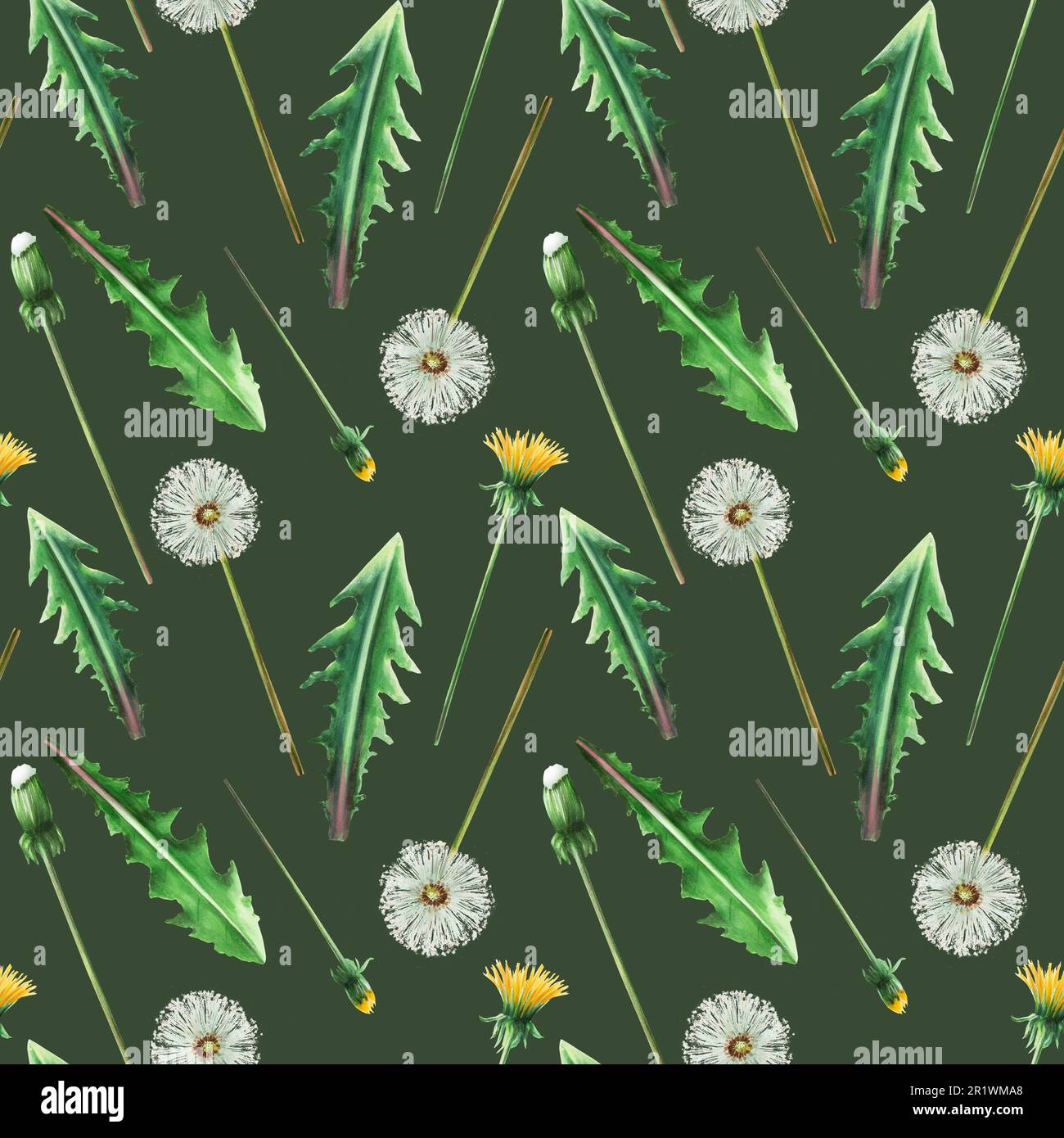 Dandelion Flower Clip Art