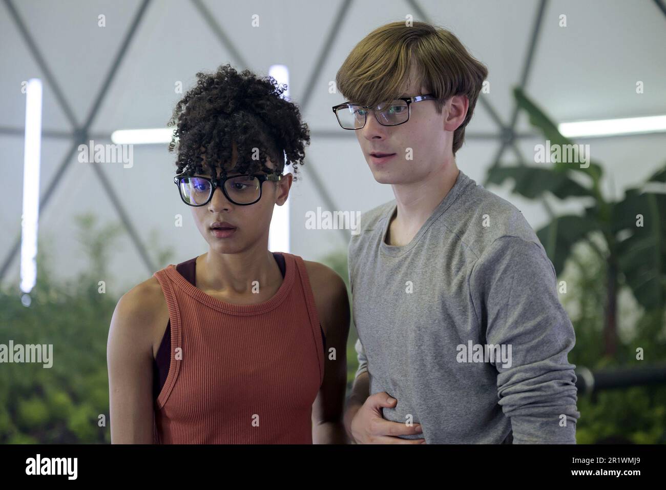 THE ARK, from left: Stacey Read, Ryan Adams, Everybody Wins', (Season 1 ...