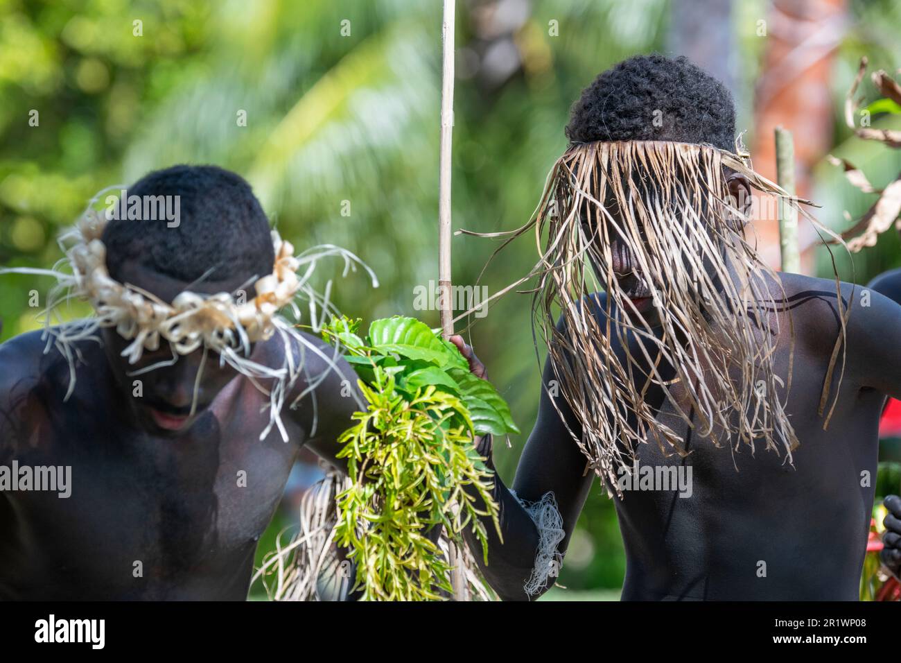 New Georgia Islands, Solomon Islands, Marovo Lagoon, Mbili Island ...