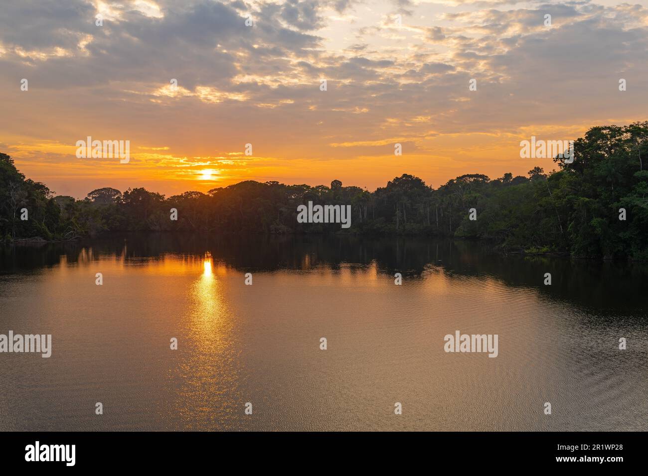 Amazon rainforest sunrise by Garzacocha Lagoon, Yasuni national park ...
