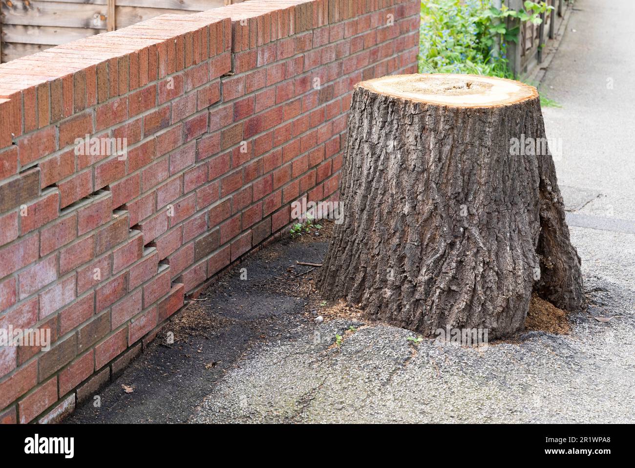 Subsidence, downward, vertical movement, Earth's surface, natural ...