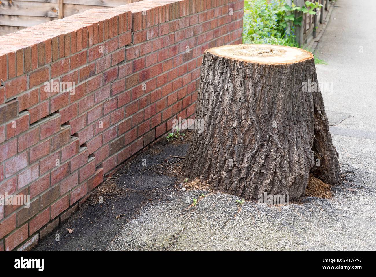 Subsidence, downward, vertical movement, Earth's surface, natural ...