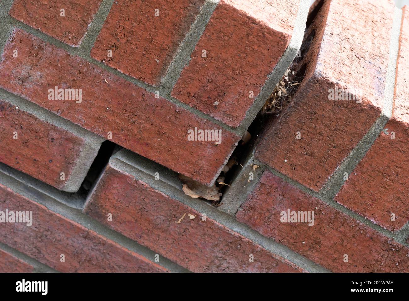 Subsidence, downward, vertical movement, Earth's surface, natural ...