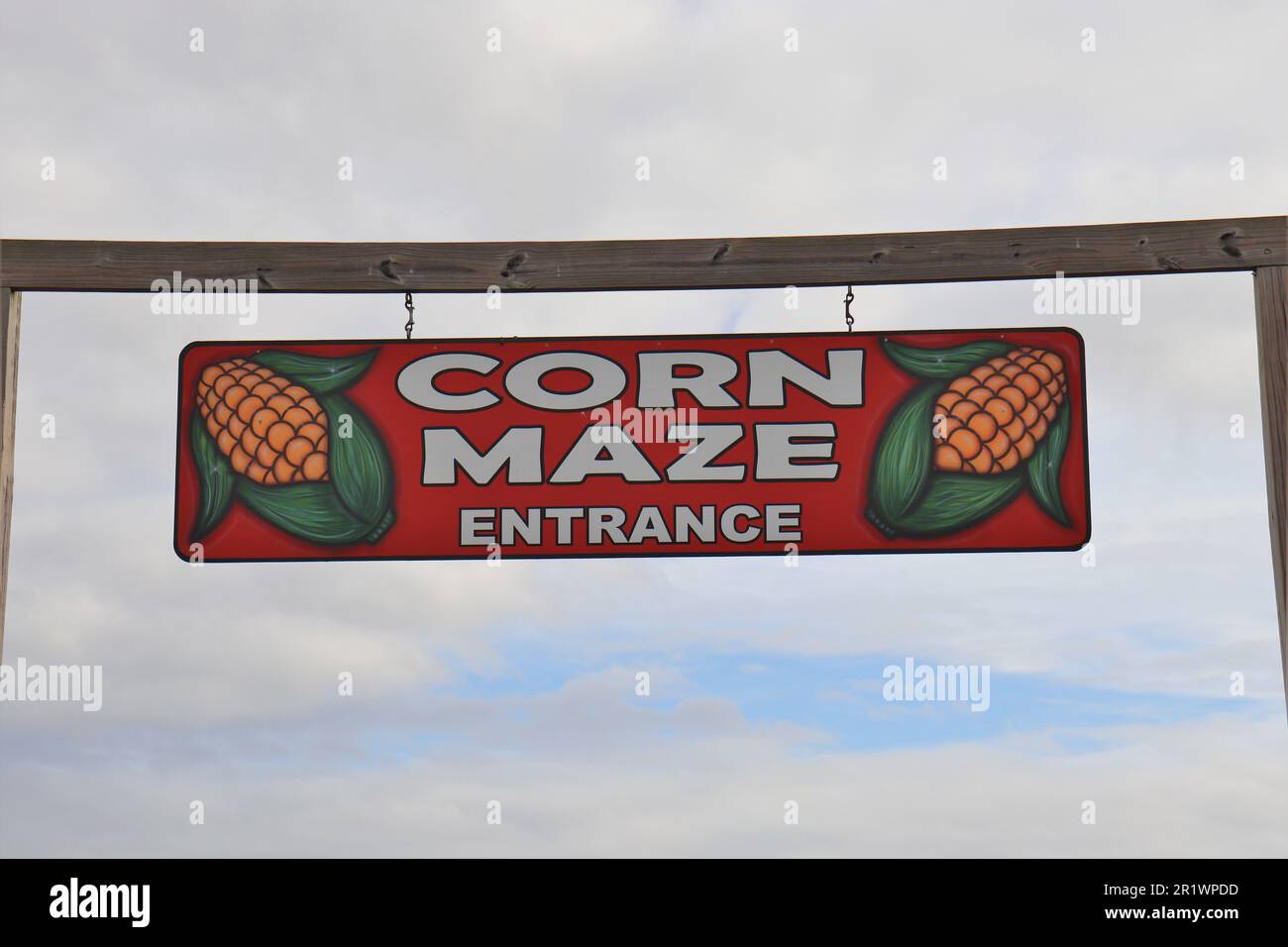 Maze corn color hi-res stock photography and images - Alamy