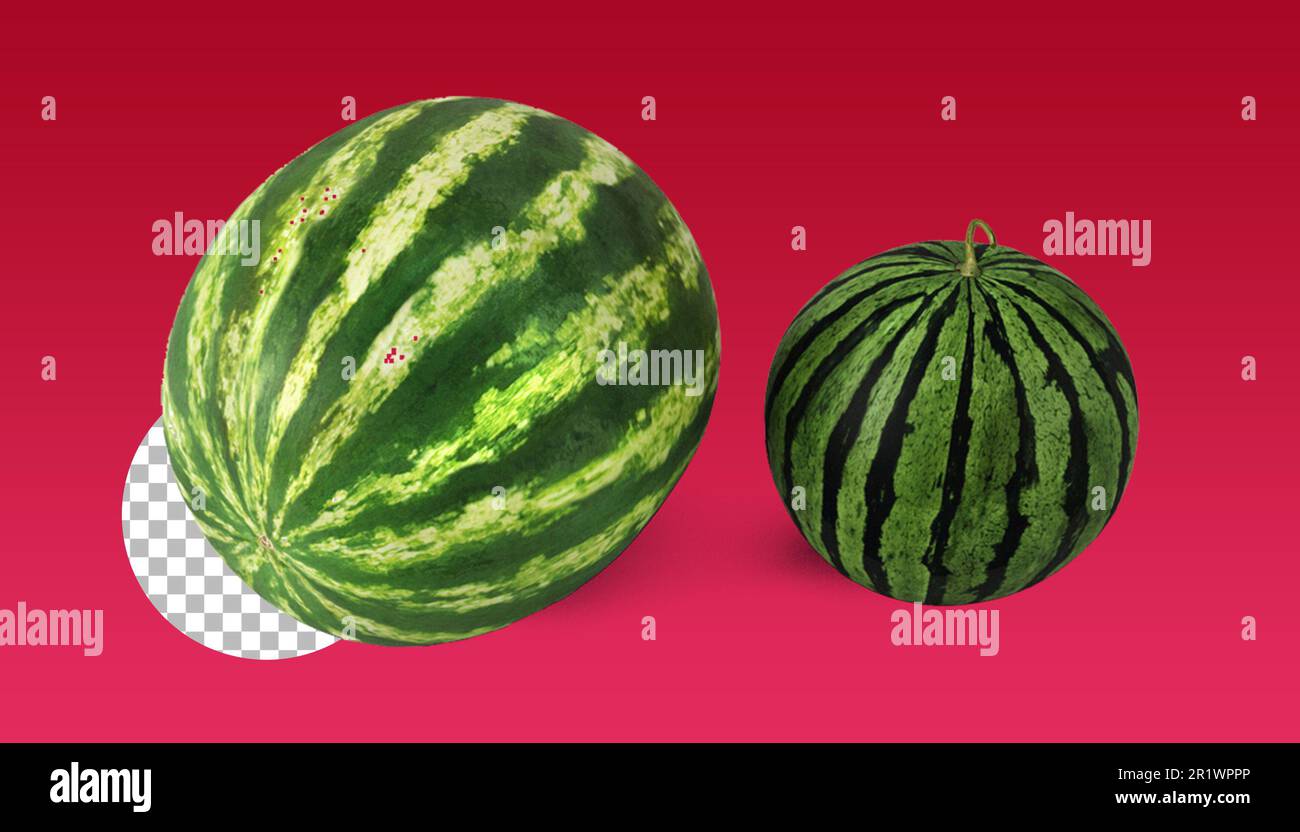 Water melon fruits for tropical scene element Stock Photo - Alamy