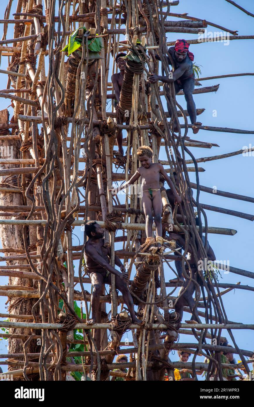 Vanuatu, Pentecost Island. Age-old ritual of land diving. Very young ...