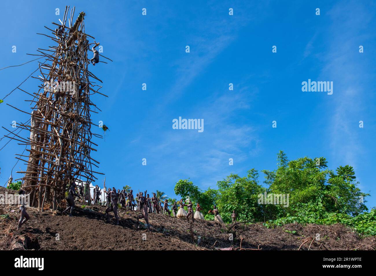 Pentecost land diving hi-res stock photography and images - Alamy