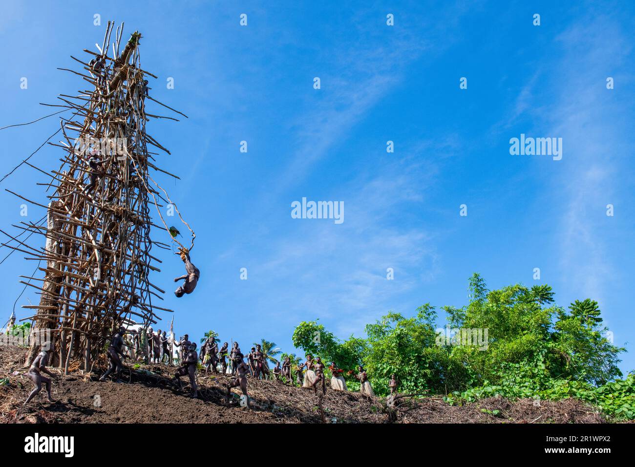 Vanuatu, Pentecost Island. Age-old ritual of land diving Stock Photo ...