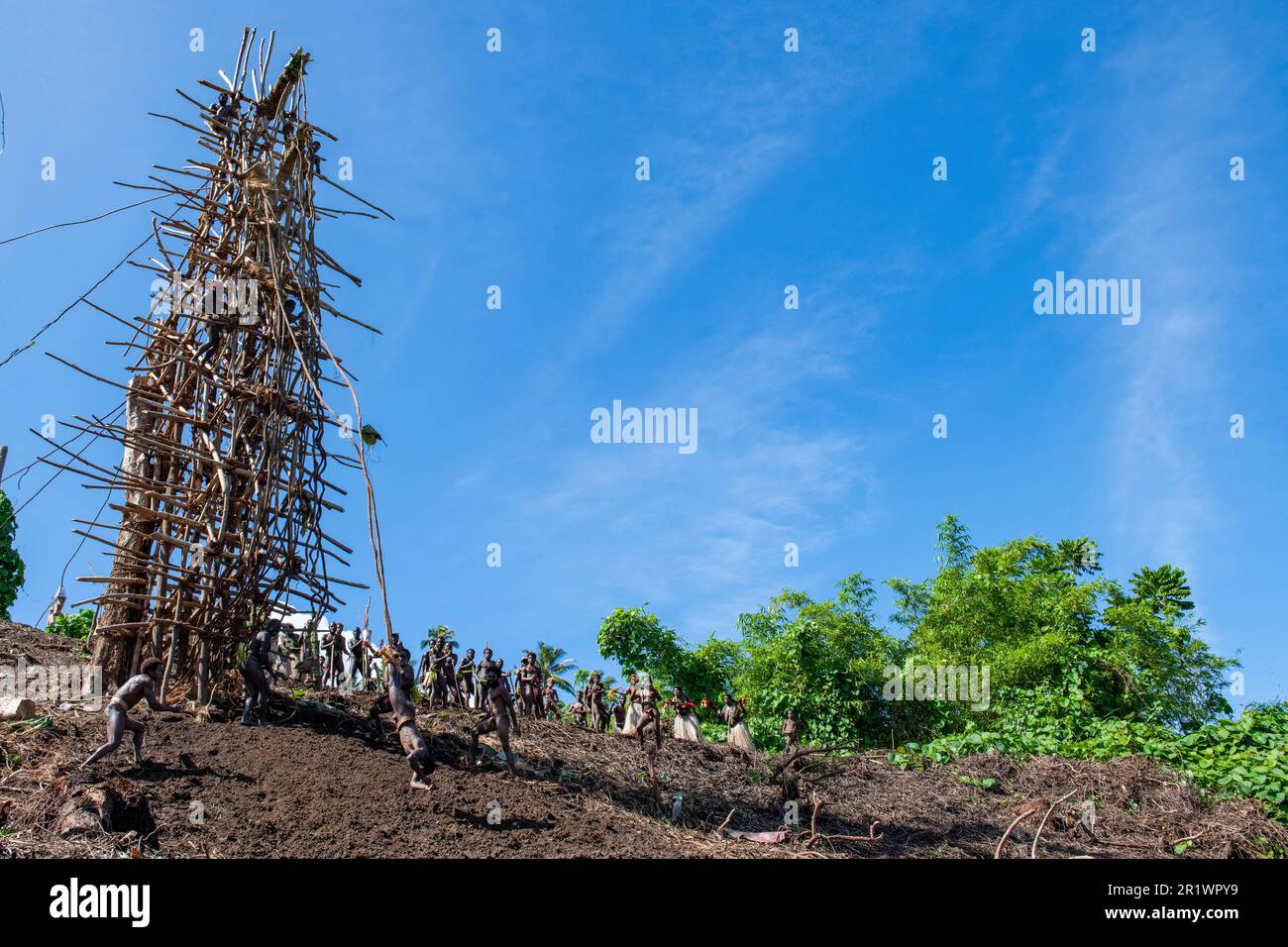 Vanuatu, Pentecost Island. Age-old ritual of land diving Stock Photo ...