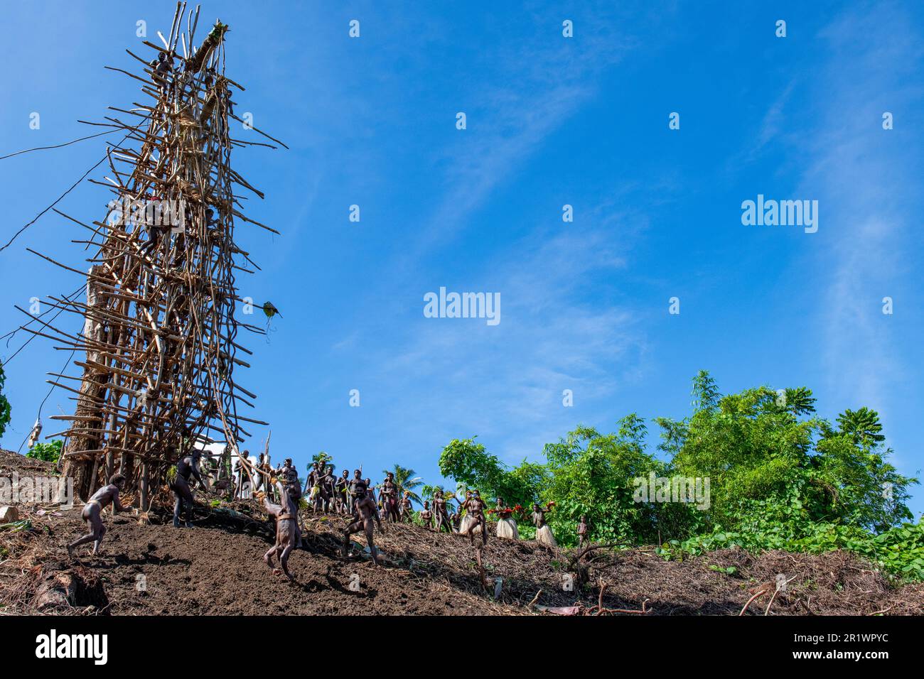 Vanuatu, Pentecost Island. Age-old ritual of land diving Stock Photo ...