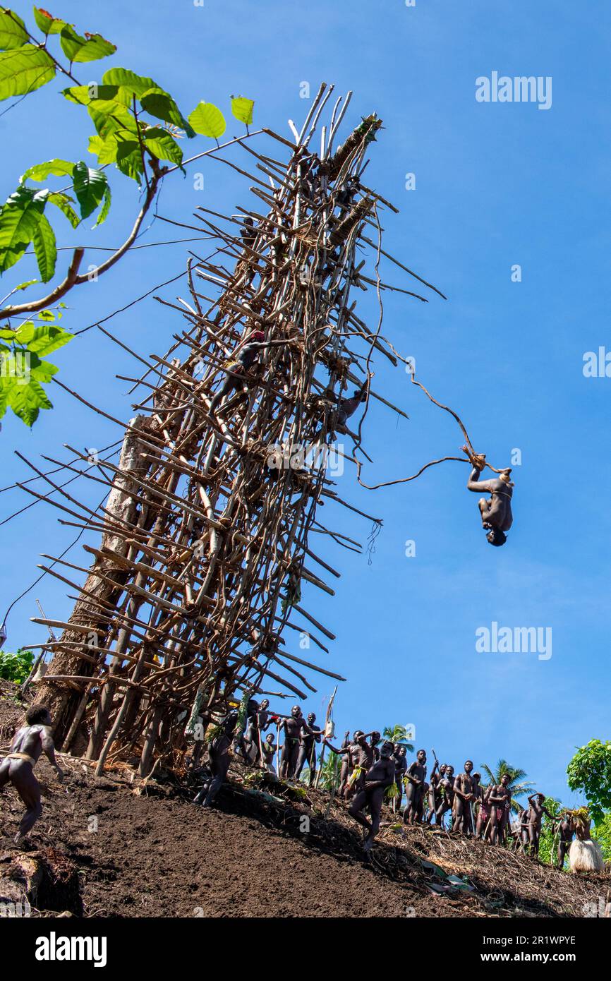 Vanuatu, Pentecost Island. Age-old ritual of land diving. Series 1 of 5 ...