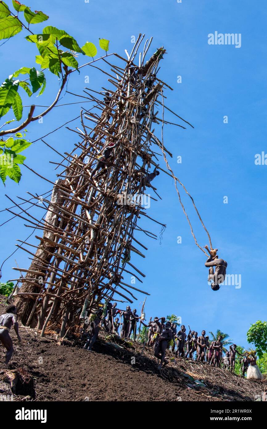 Vanuatu, Pentecost Island. Age-old ritual of land diving. Series 2 of 5 ...