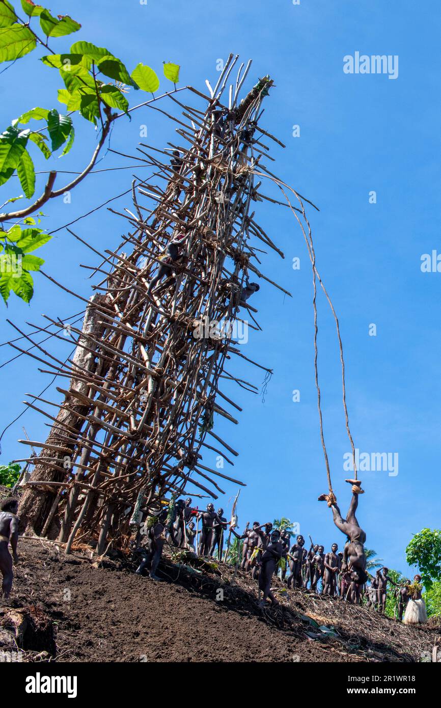 Vanuatu, Pentecost Island. Age-old ritual of land diving. Series 3 of 5 ...