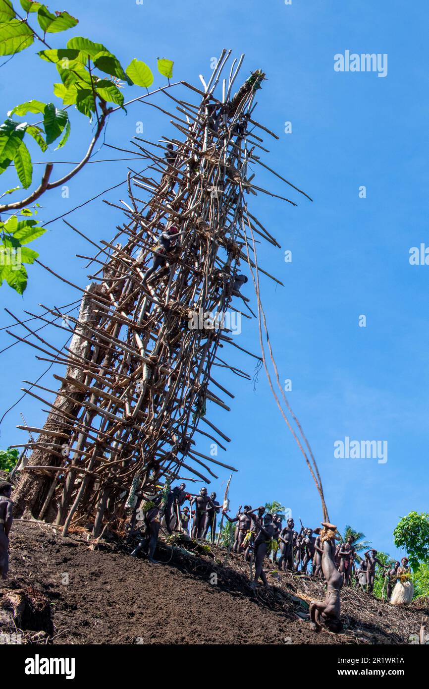 Vanuatu, Pentecost Island. Age-old ritual of land diving. Series 4 of 5 ...