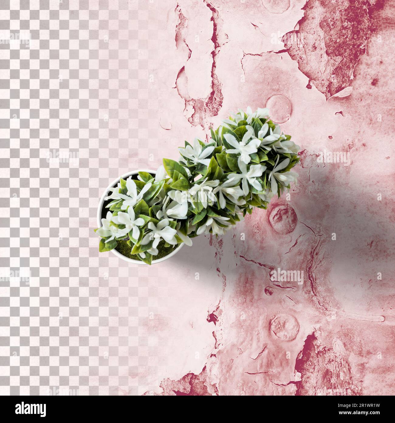 Top up view of various office desk plant isolated Stock Photo - Alamy