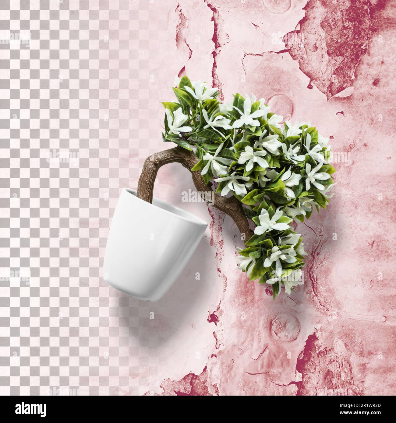 Top up view of various office desk plant isolated Stock Photo - Alamy