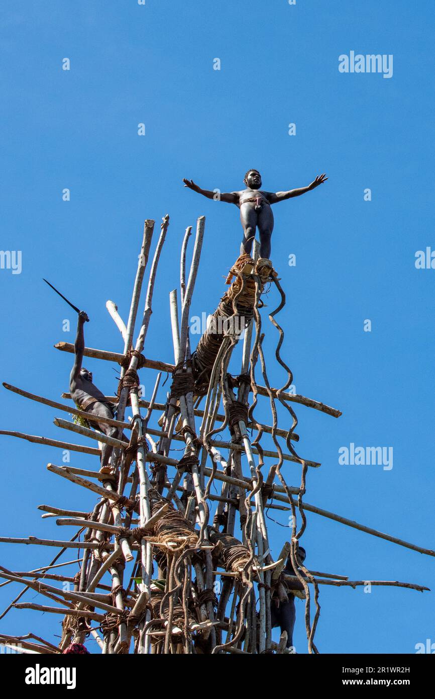 Vanuatu, Pentecost Island. Age-old ritual of land diving. Getting ready ...
