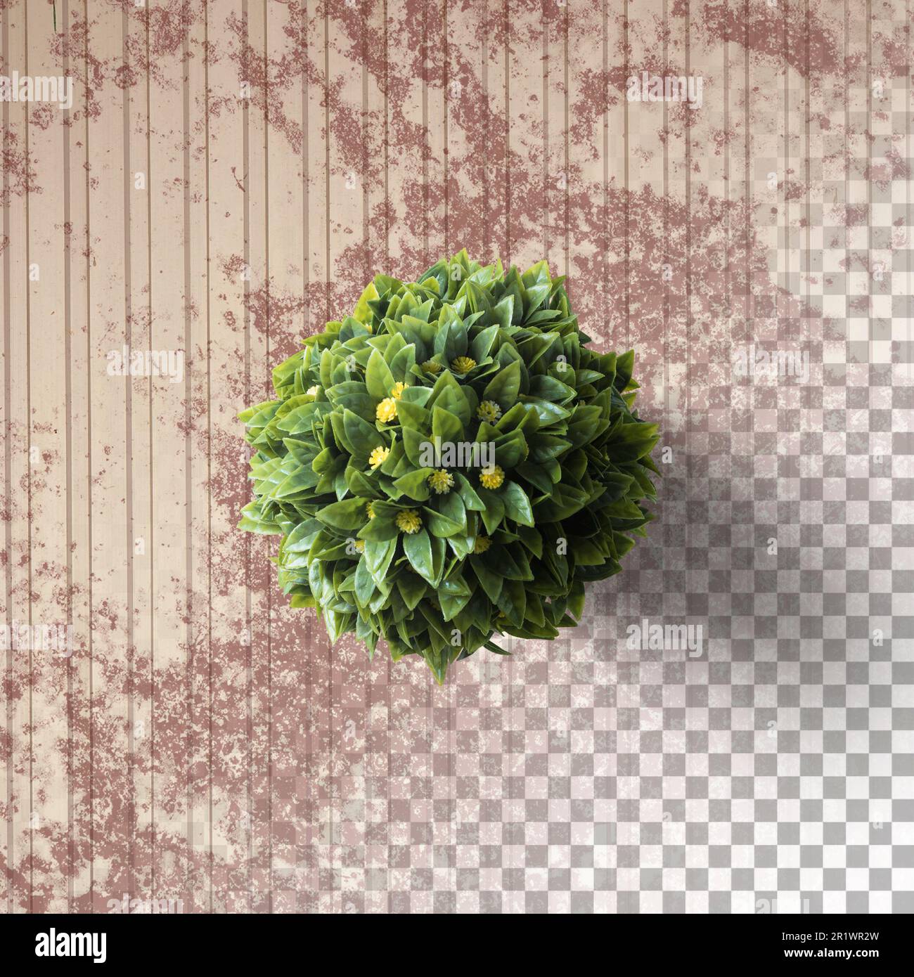 Top up view of various office desk plant isolated Stock Photo - Alamy