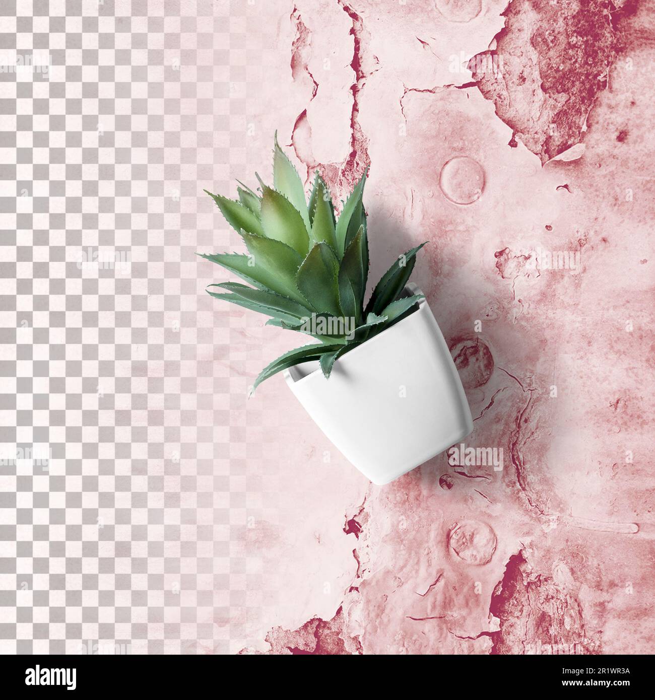 Top up view of various office desk plant isolated Stock Photo - Alamy