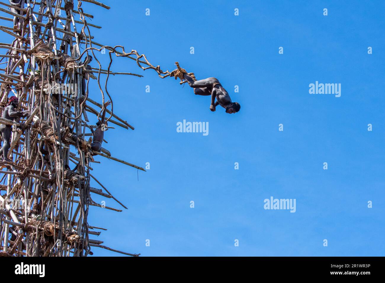 Vanuatu, Pentecost Island. Age-old ritual of land diving. Series 3 of 8 ...