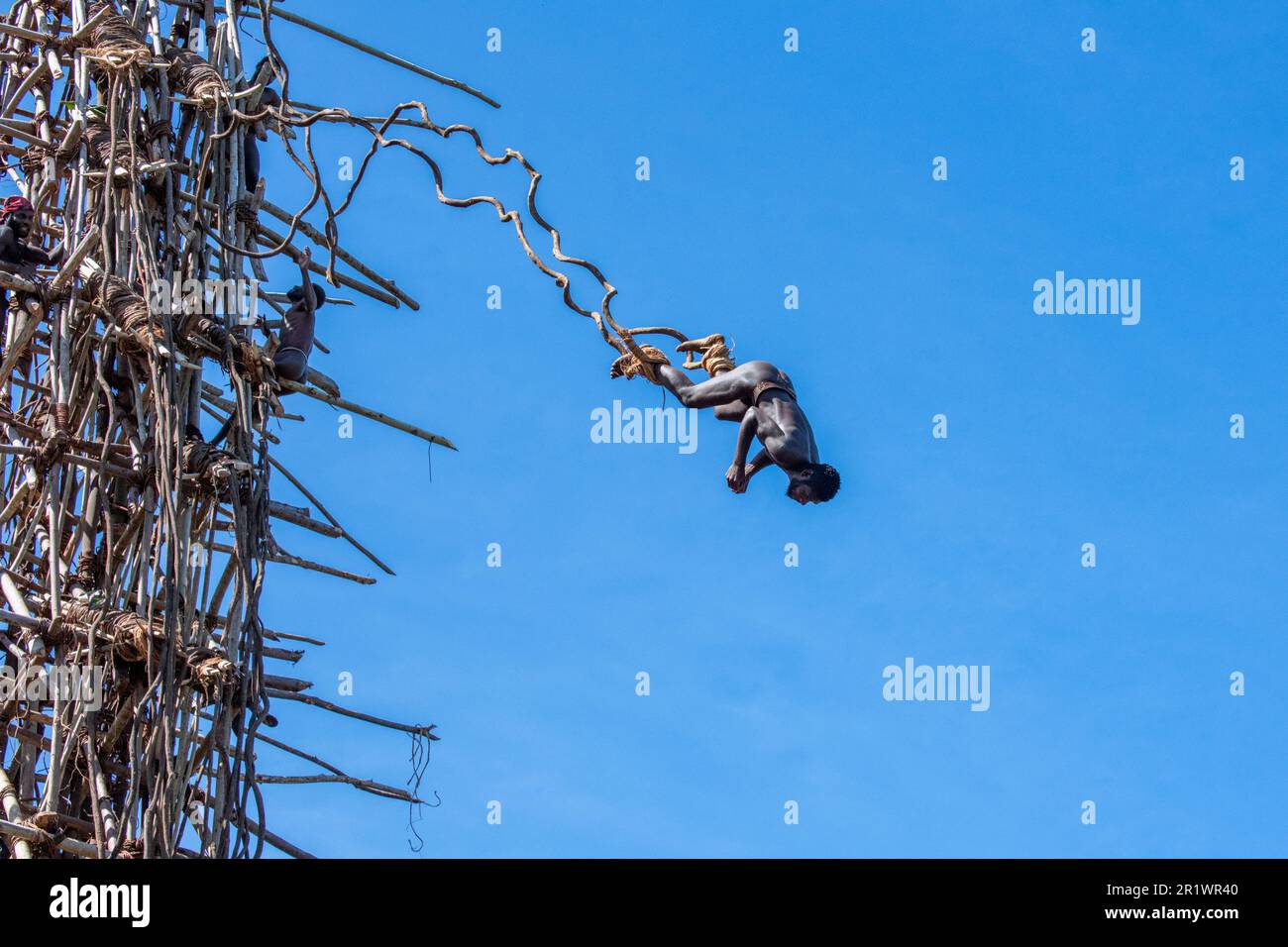 Vanuatu, Pentecost Island. Age-old ritual of land diving. Series 4 of 8 ...