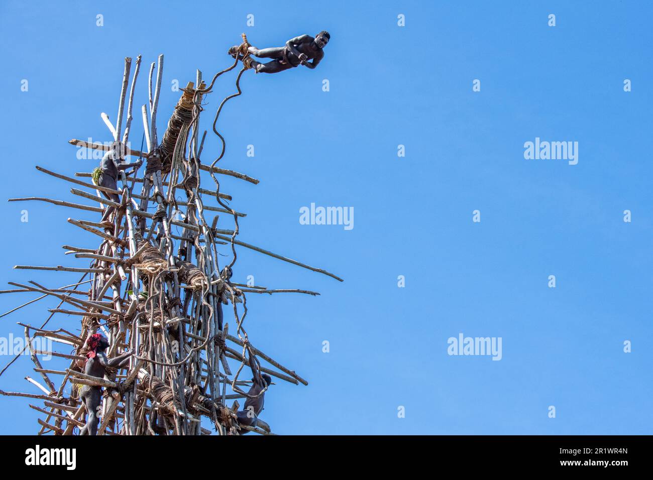Vanuatu, Pentecost Island. Age-old ritual of land diving. Series 2 of 8 ...