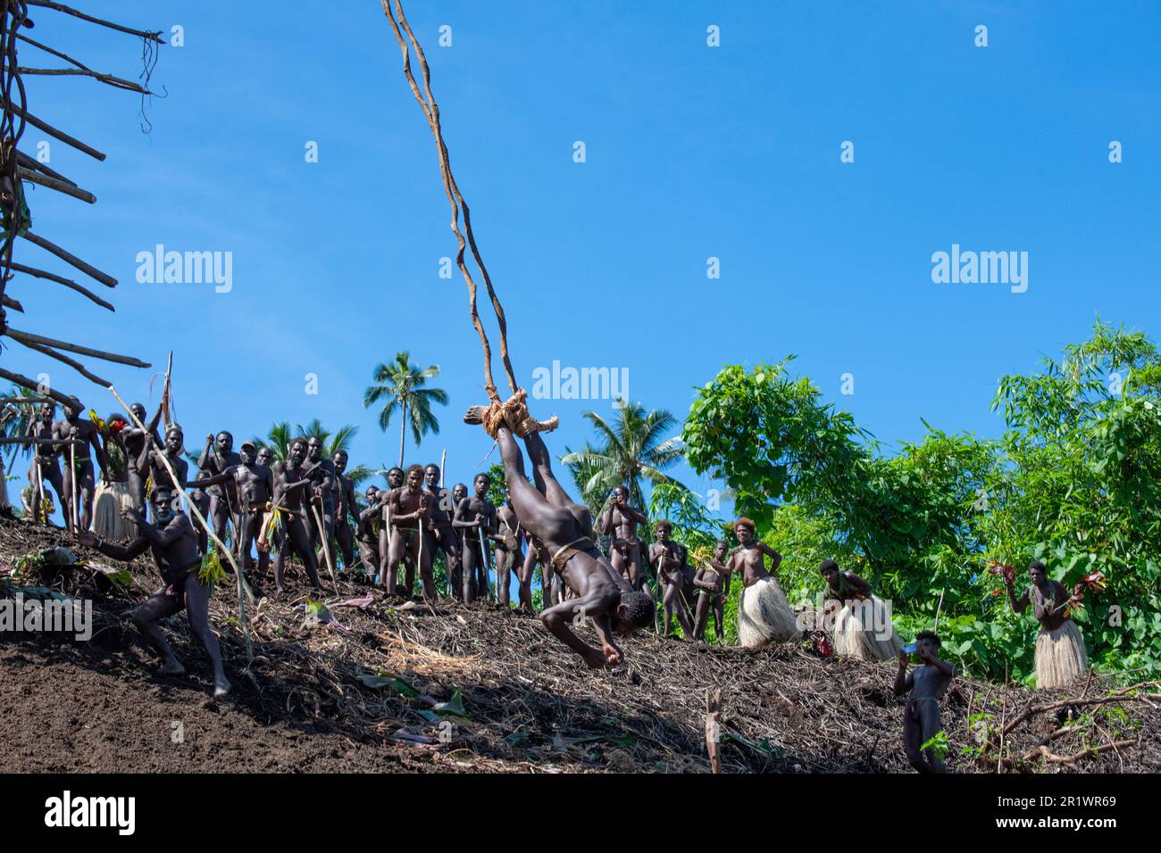 Vanuatu, Pentecost Island. Age-old ritual of land diving. Series 6 of 8 ...