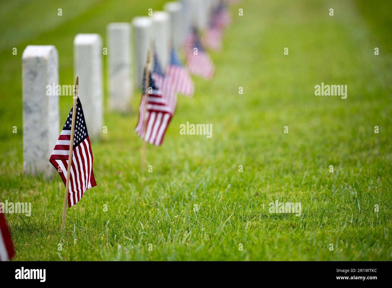 A row of American Flags and gravestones in a National Cemetery ...