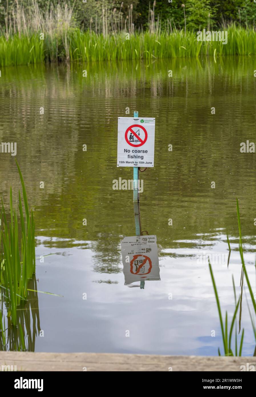 No coarse fishing sign at Ornamental Lake pond in the Common Park ...