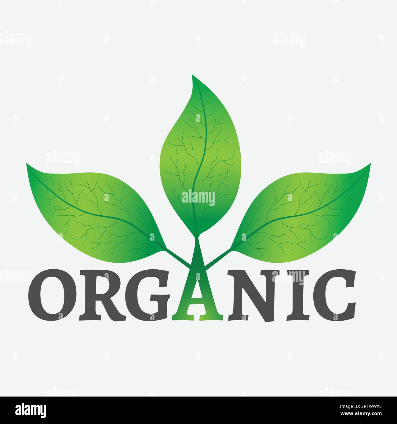 Organic concept or logo. Green leaves on a tree with organic text on a ...