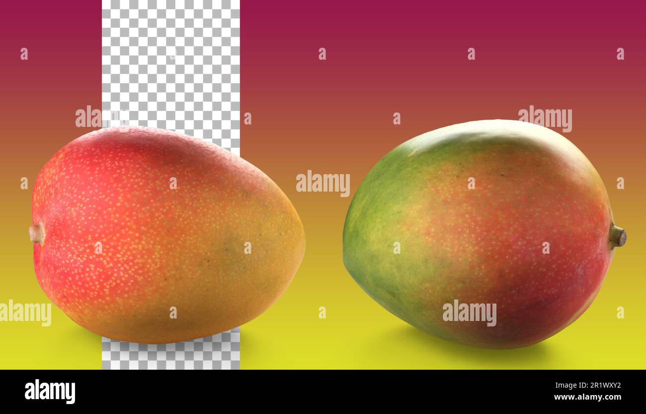 Tropical mango for your food element design Stock Photo - Alamy