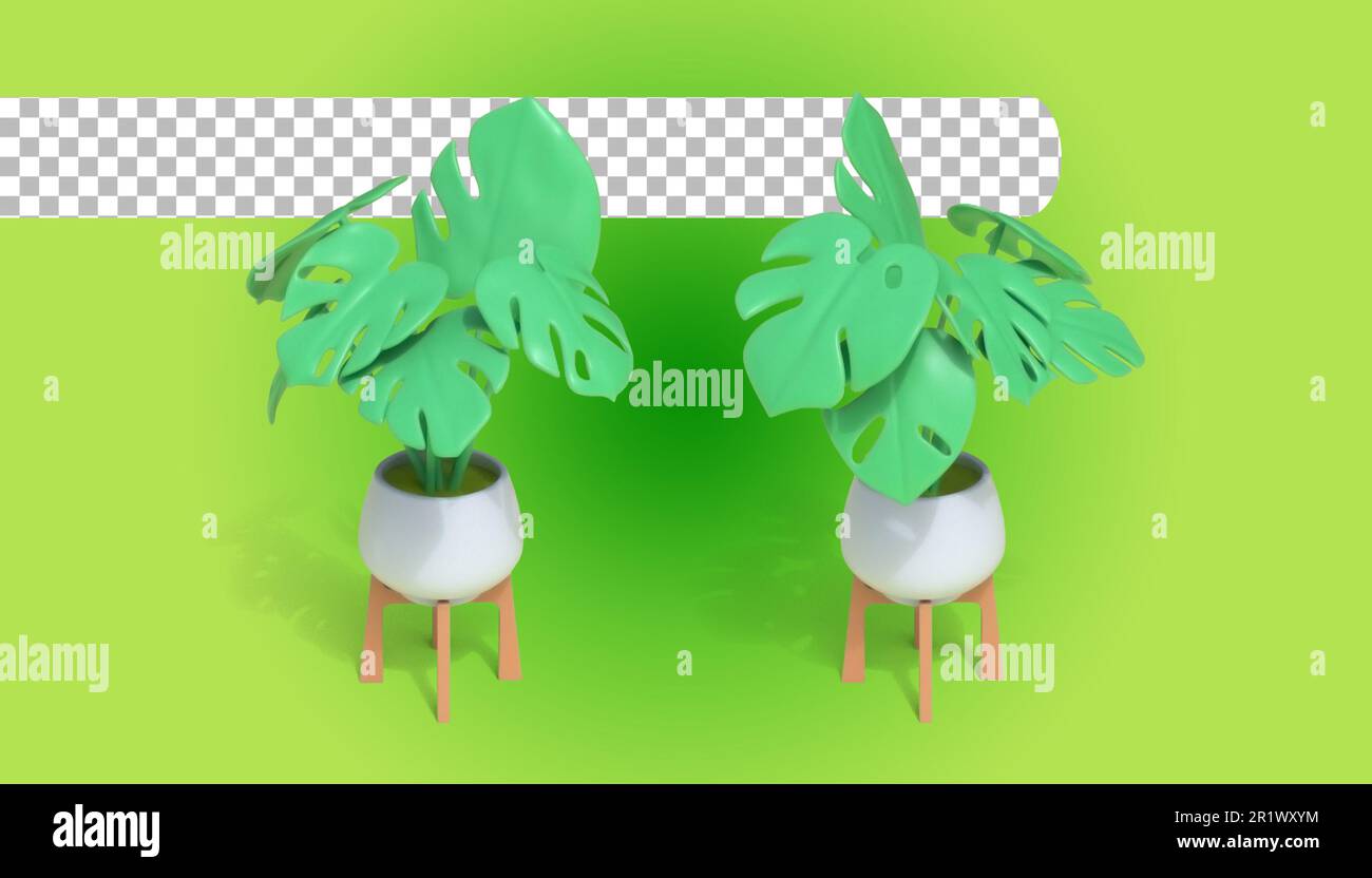 Monstera deliciosa table hi-res stock photography and images - Alamy