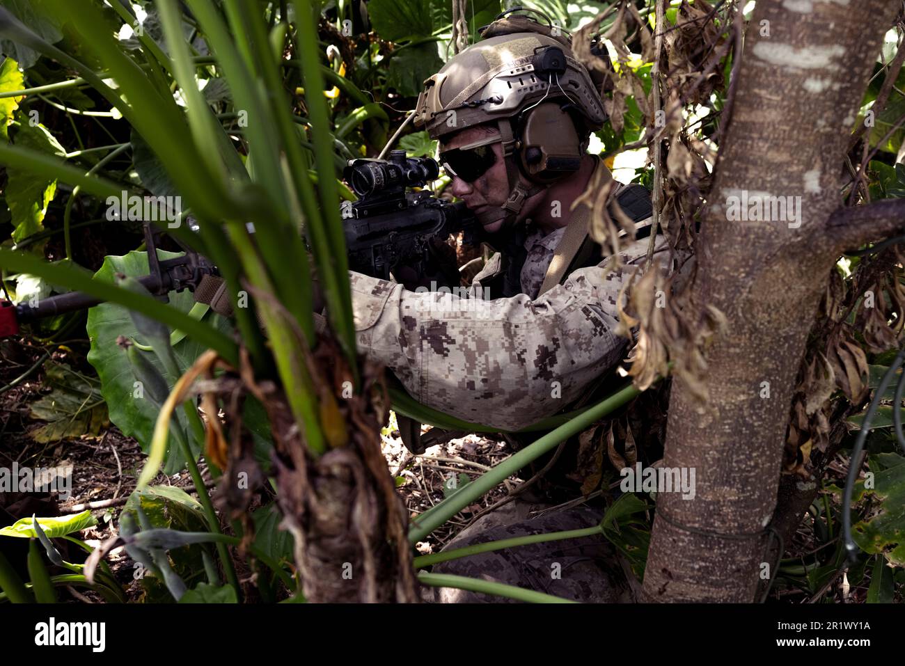 U.S. Marine Lance Cpl. Trevor Dillard, an infantry Marine with Battalion Landing Team 2/1, 31st ...