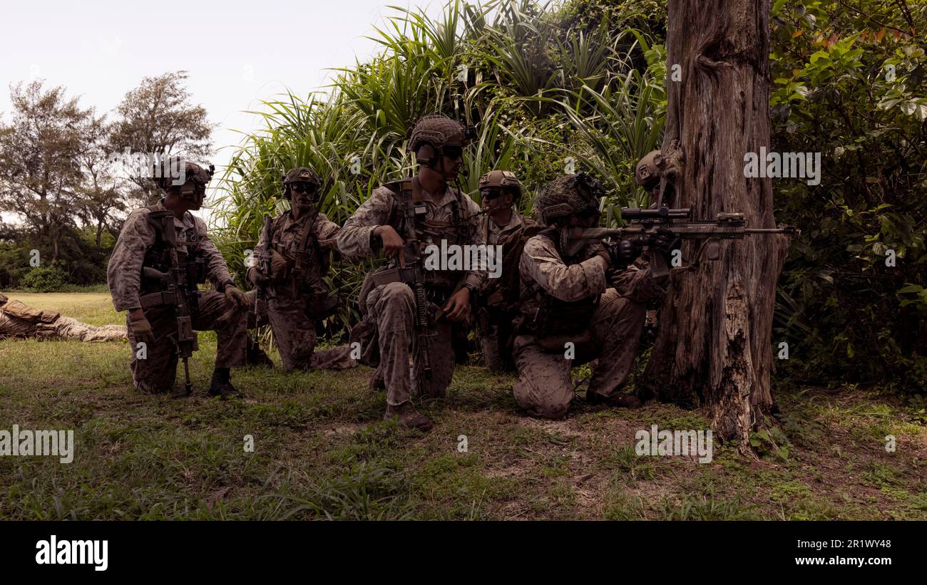 U.S. Marines with Battalion Landing Team 2/1, 31st Marine Expeditionary ...