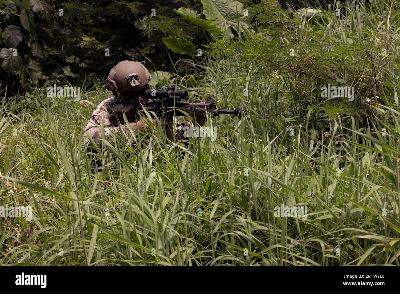 A U.S. Marine with Battalion Landing Team 2/1, 31st Marine ...
