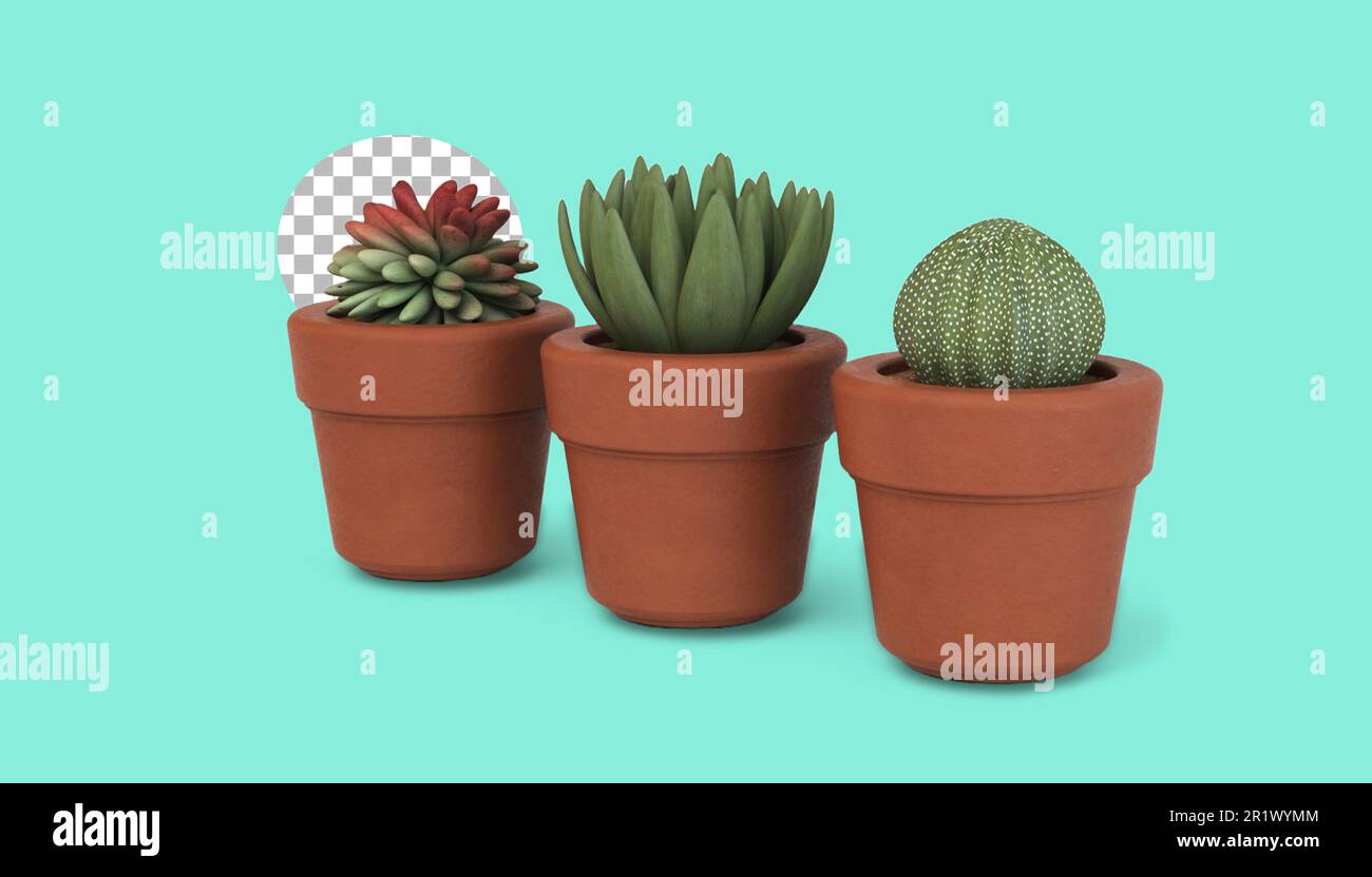 Three plants grow on white hi-res stock photography and images - Alamy