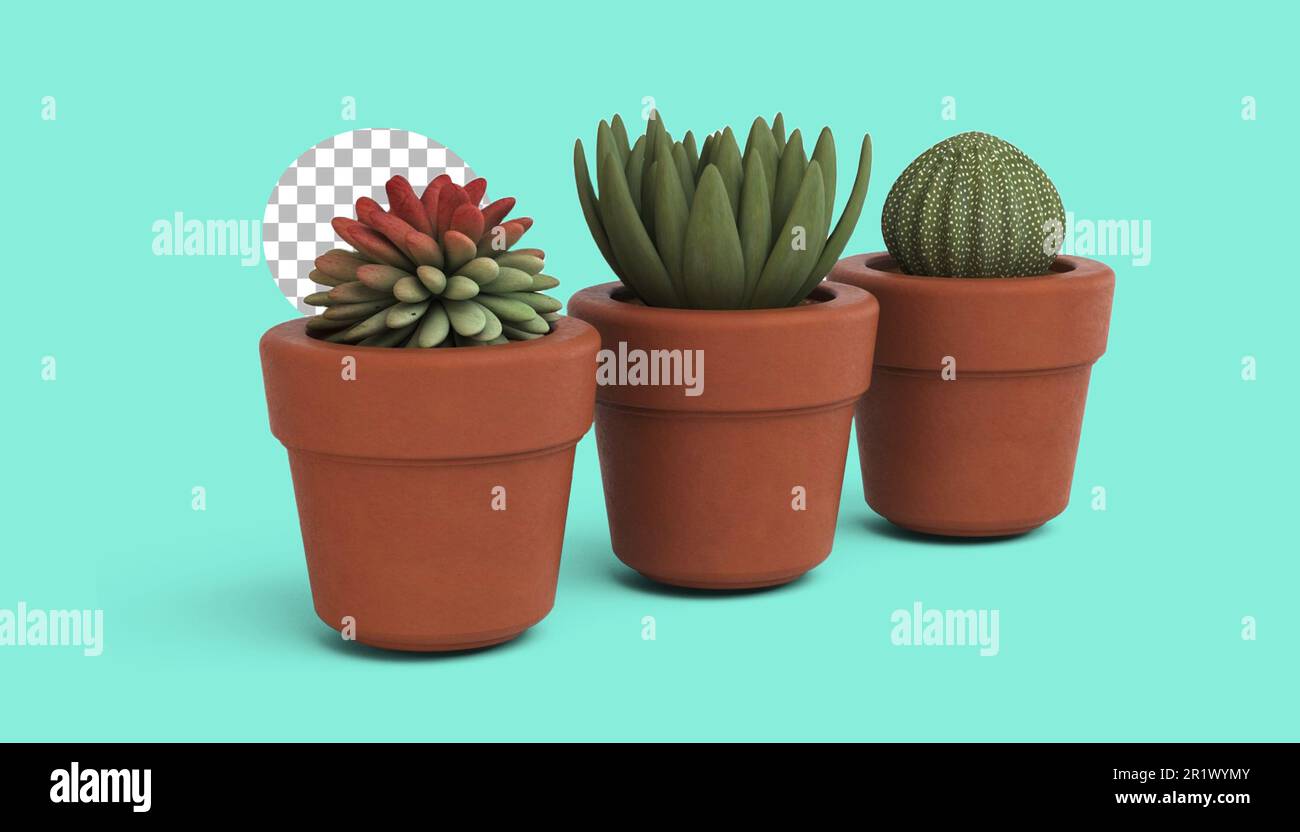 Three plants grow on white hi-res stock photography and images - Alamy