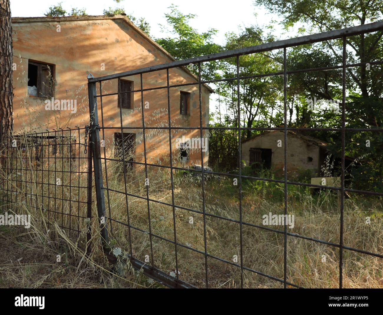 Metal fence of old abandoned building overgrown by wild plants Stock ...