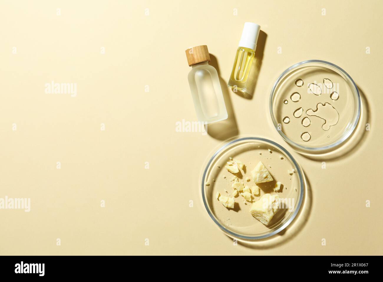 Many Petri dishes and cosmetic products on beige background, flat lay ...