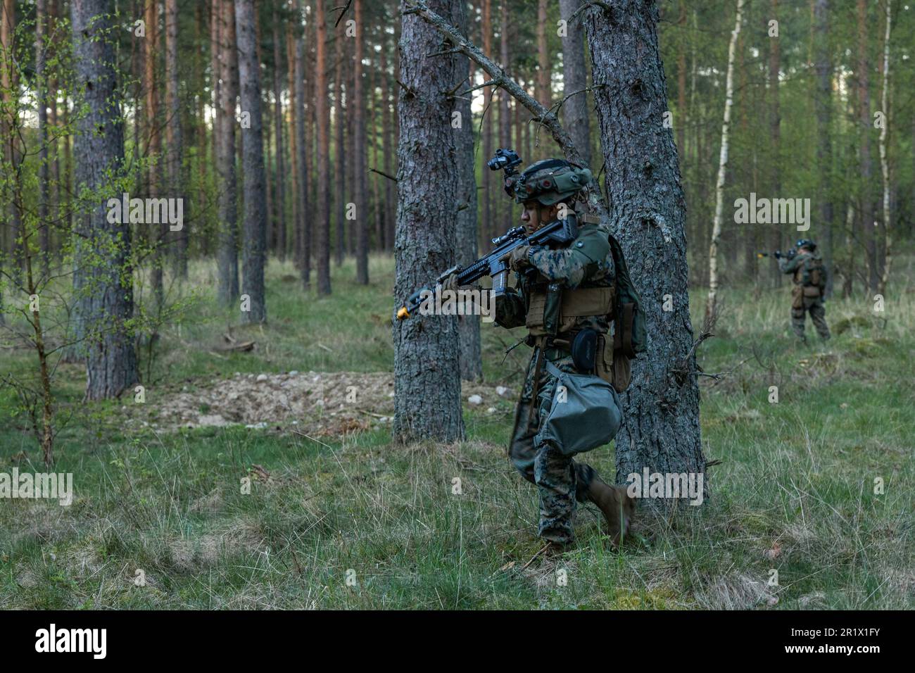 U.S. Marines with 2d Combat Engineer Battalion, 2d Marine Division ...