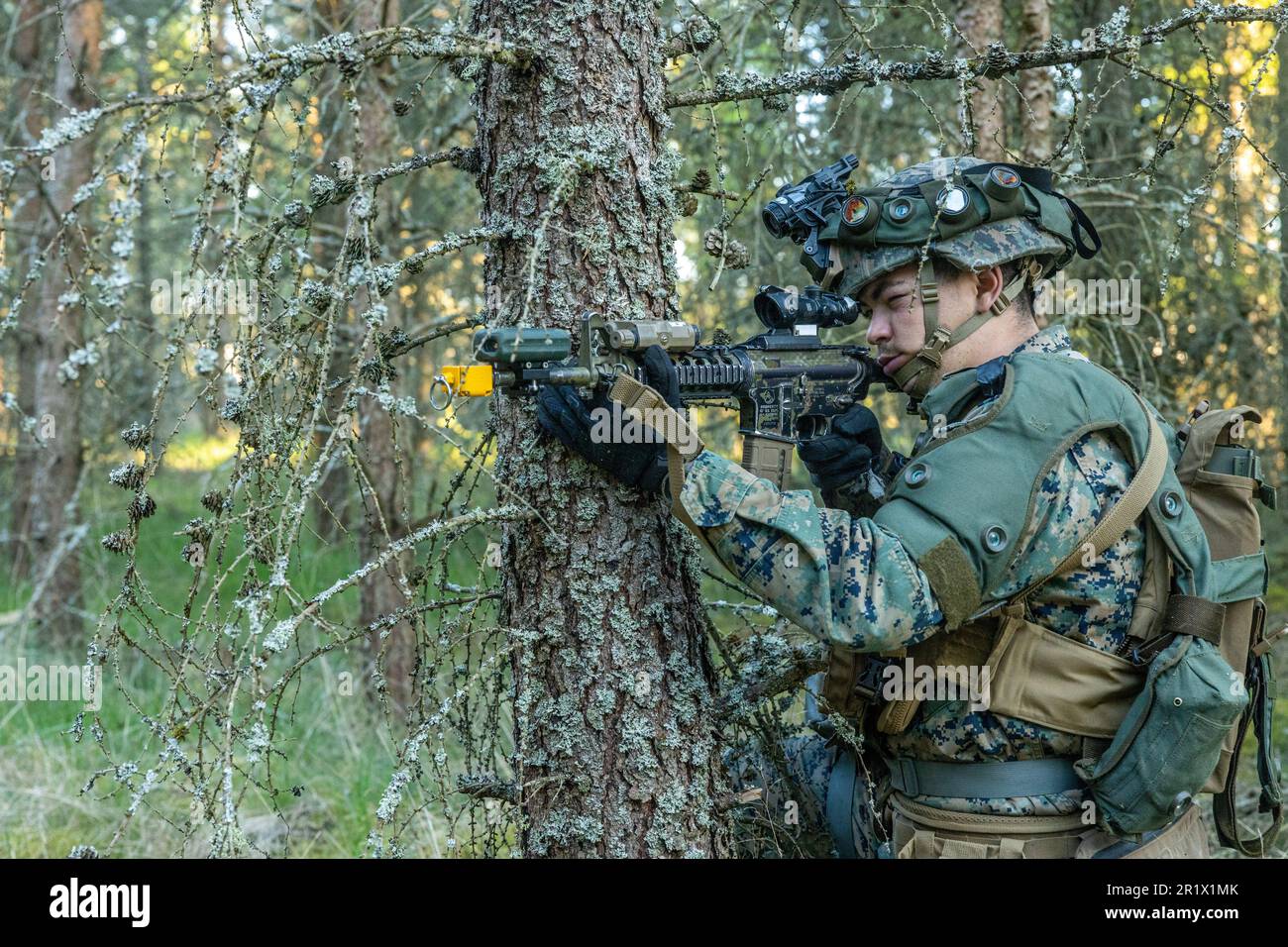 A U.S. Marine with 2d Combat Engineer Battalion, 2d Marine Division ...