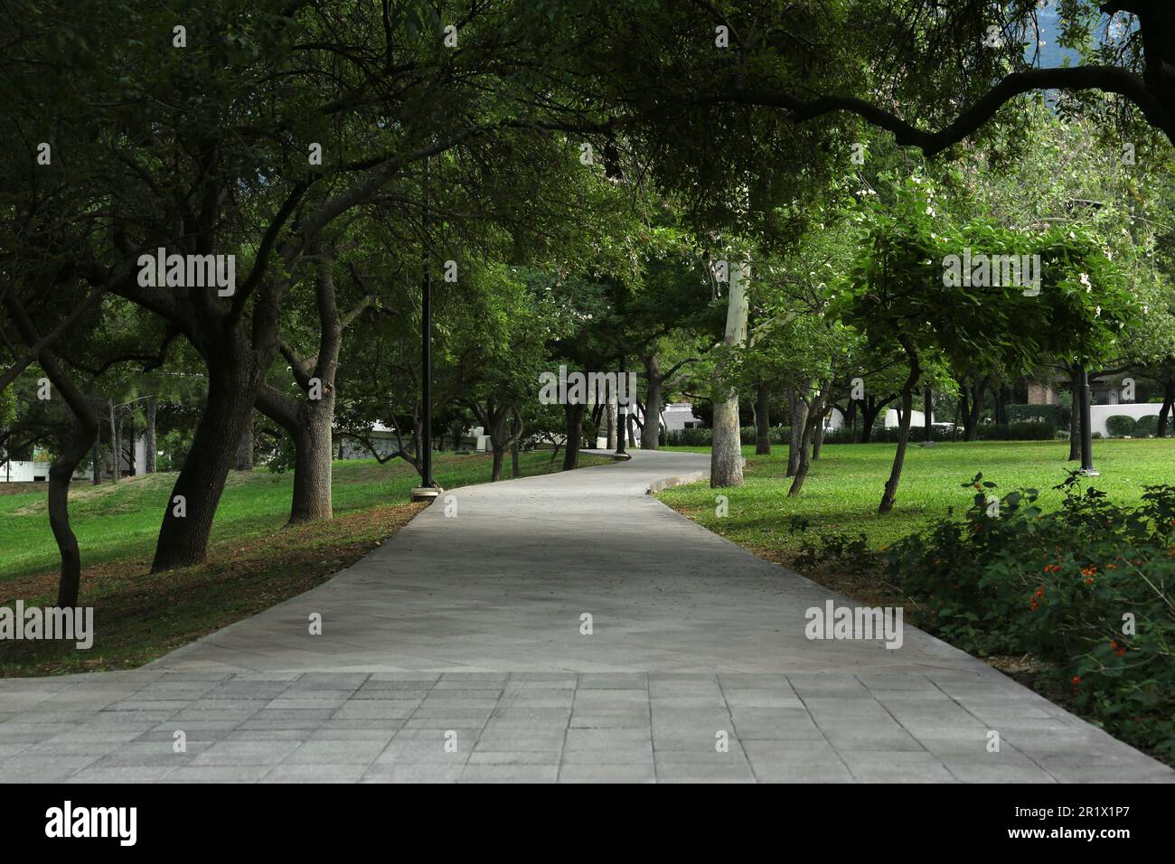 Beautiful view of green park with pathway Stock Photo - Alamy