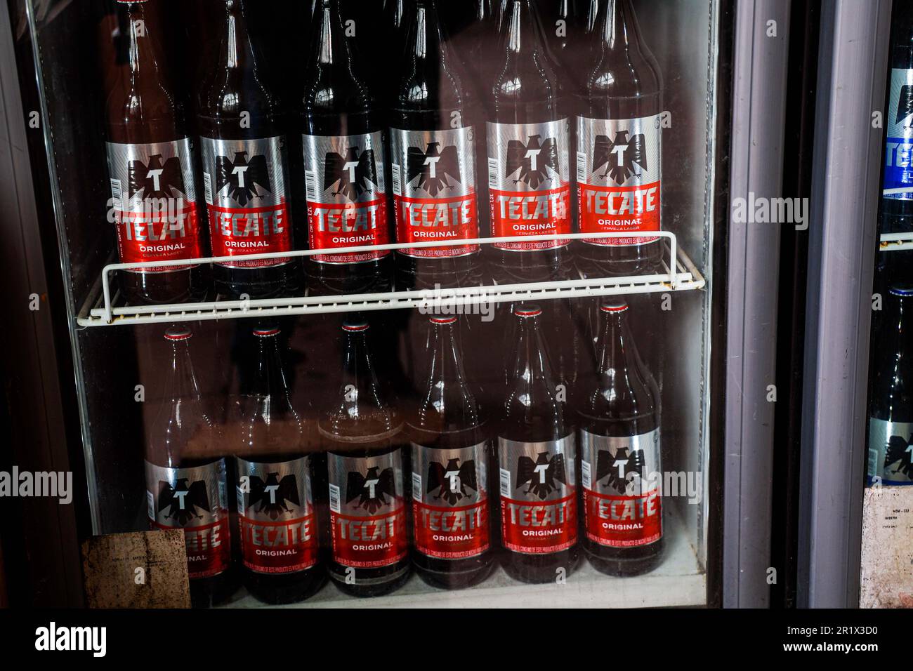 Detail of loggerhead glass bottles of Tecate Roja beer, Tecate Light ...