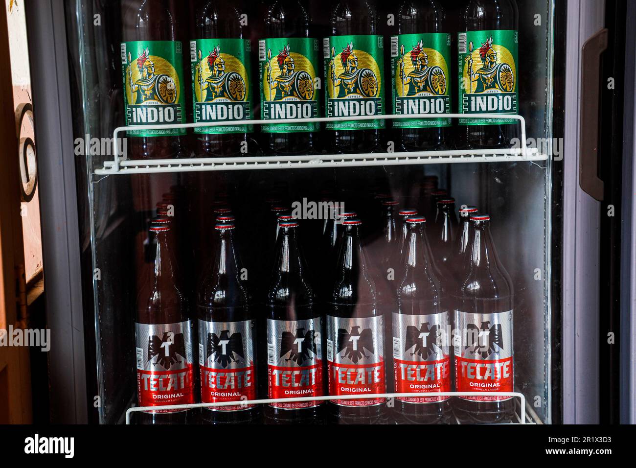 Detail of loggerhead glass bottles of Tecate Roja beer, Tecate Light ...